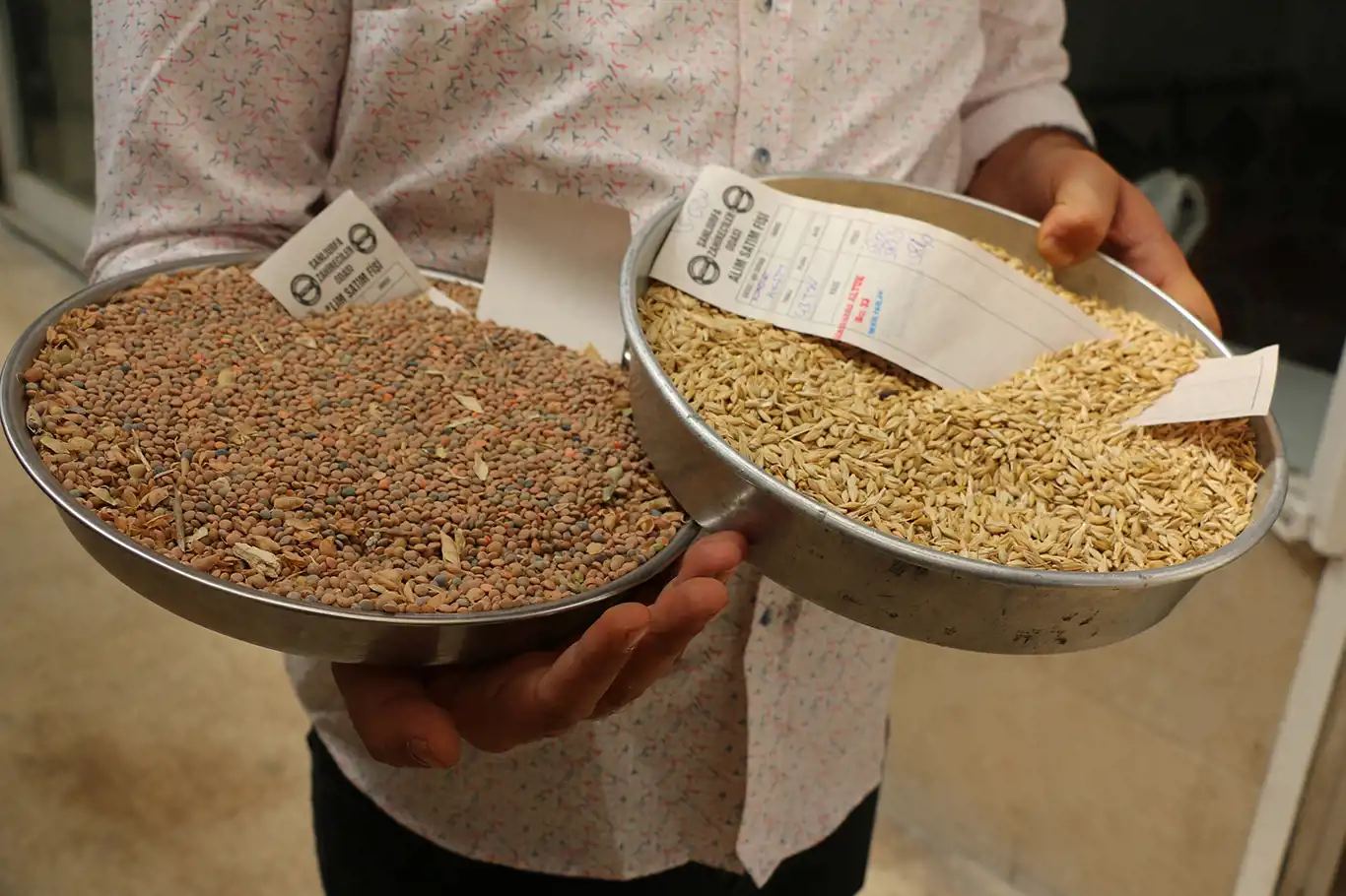 Buğday ve arpa piyasası canlandı - [İLKHA] İlke Haber Ajansı