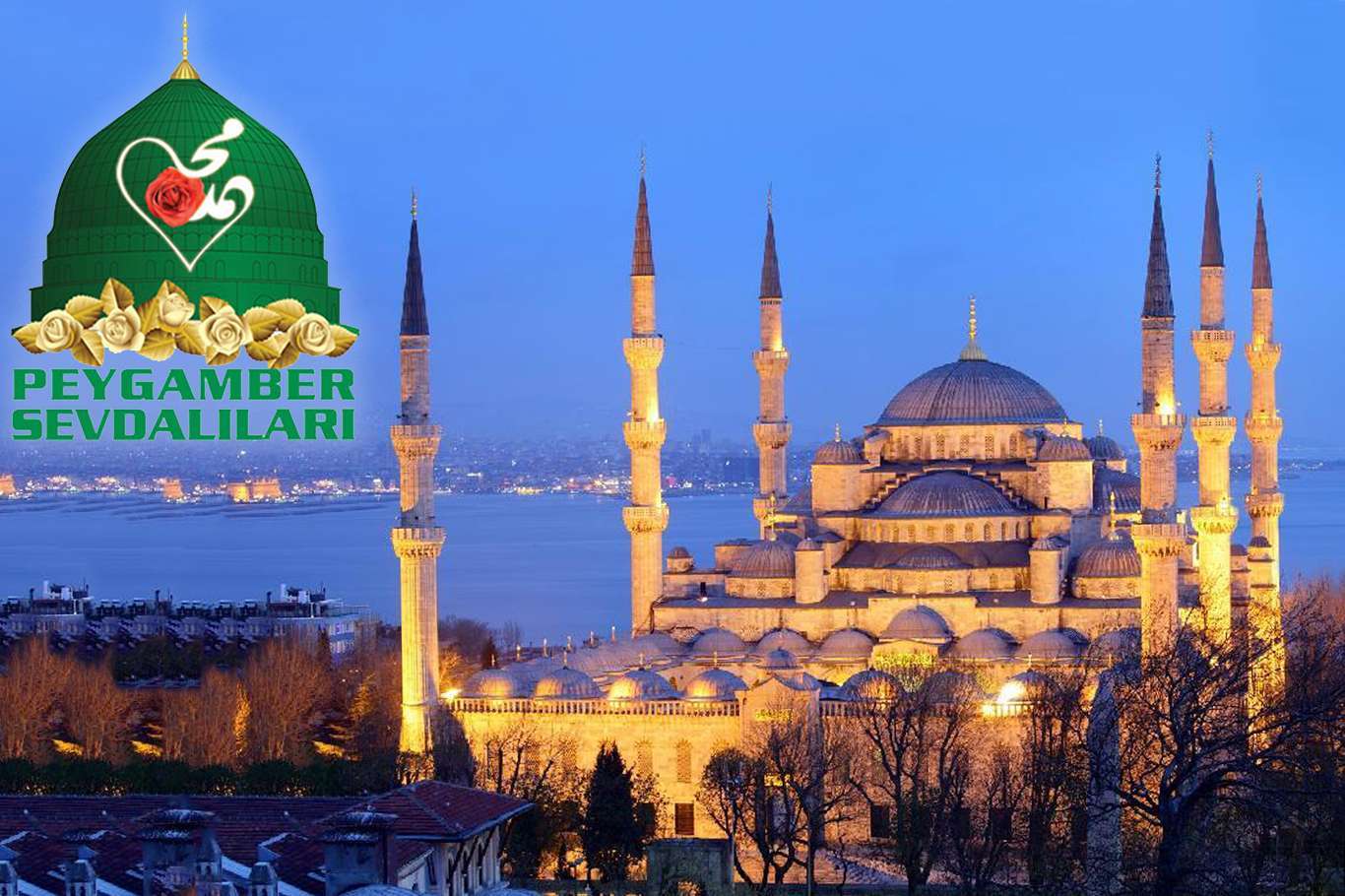 Peygamber Sevdalıları Vakfı: Camilerimiz bedene kan pompalayan kalp ...